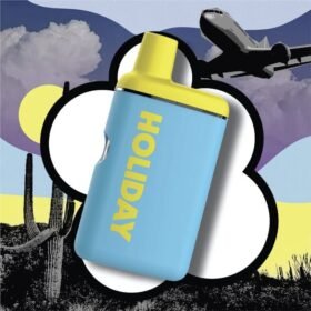 Buy Holiday Disposable Vape - holidaydisposable.com